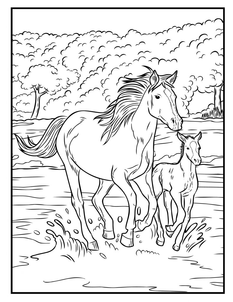 Wild Horses Colouring Book - Pentastica